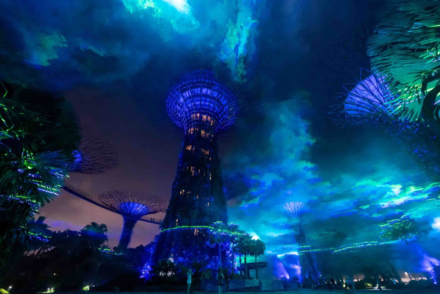 BOREALIS - Dan Acher